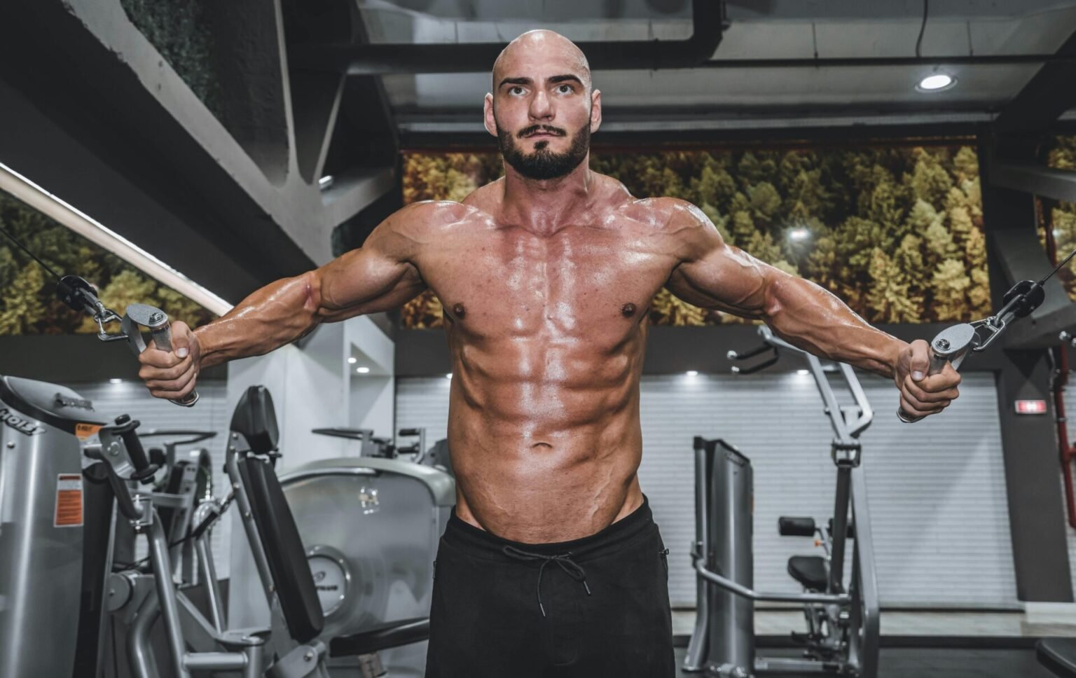 The Ultimate Guide to Achieving a Six-Pack for Men: 12 Essential Tips ...